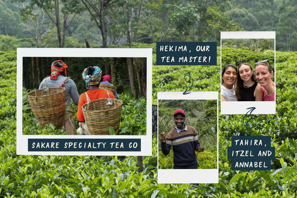 Tea, Soil, and Sisterhood: Our Visit to a Regenerative Tea Farm in Tan